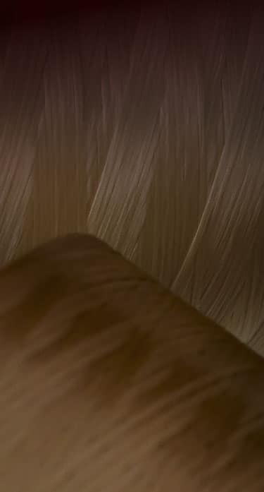 Technical fibers for nautical ropes - Armare Ropes